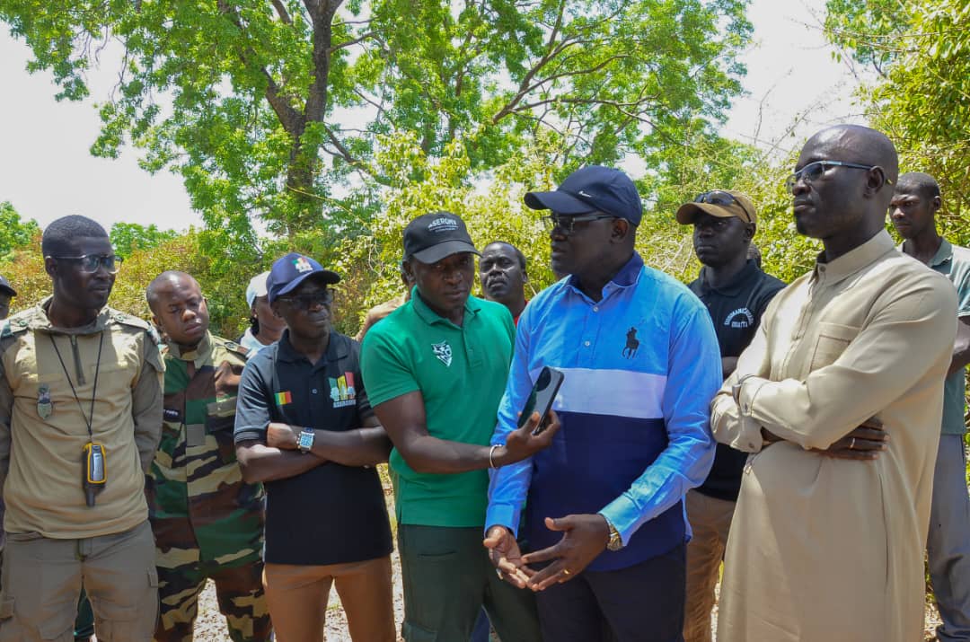 Commune de Mlomp | Une économie exemplaire, un niveau social élevé